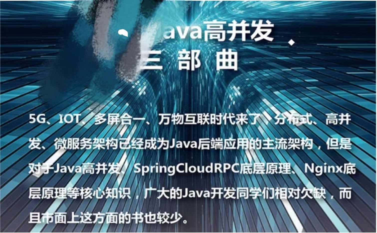 尼恩JAVA硬核架构班，疯狂创客圈社群VIP，高架构卷王班 价值-6999-vipc9资源站